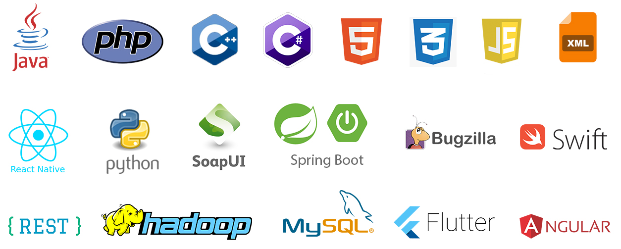 About Techlene Software Solutions