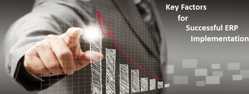 Key Factors for a Successful ERP Implementation | Techlene